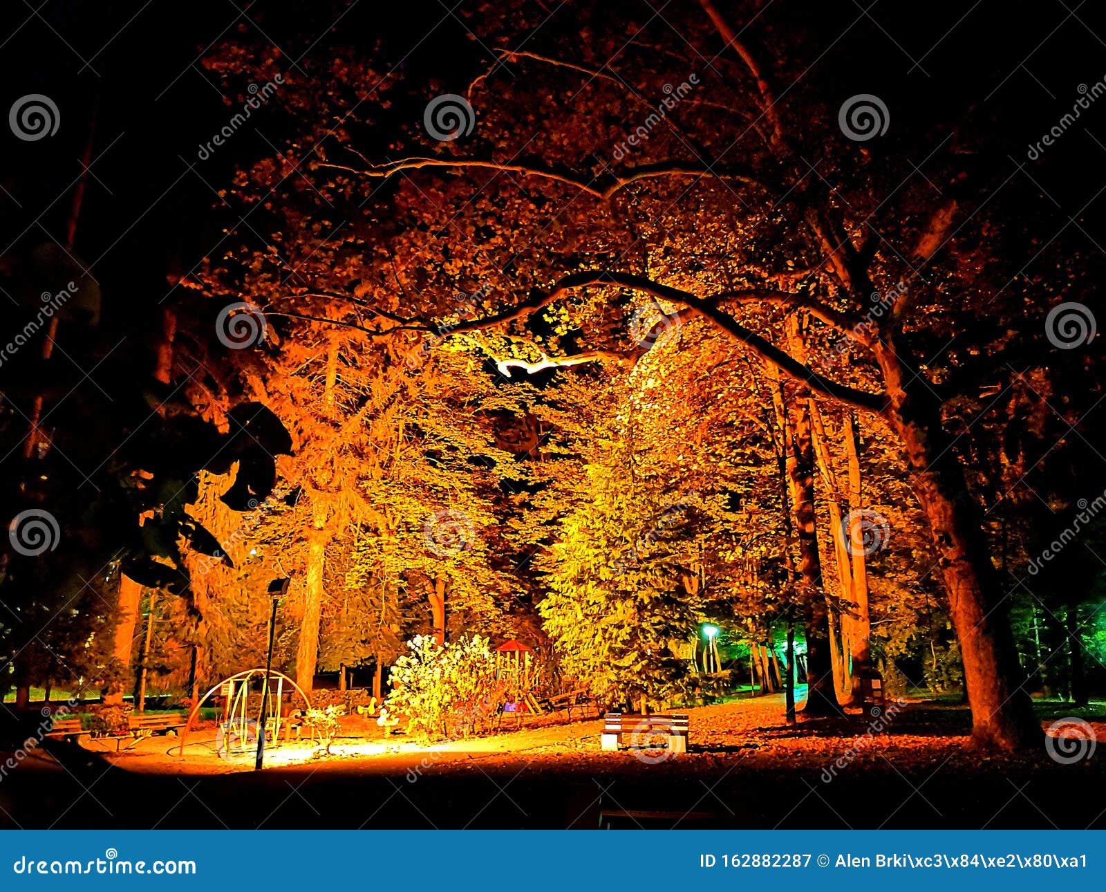 Park in autumn night stock image. Image of park, colorful - 162882287
