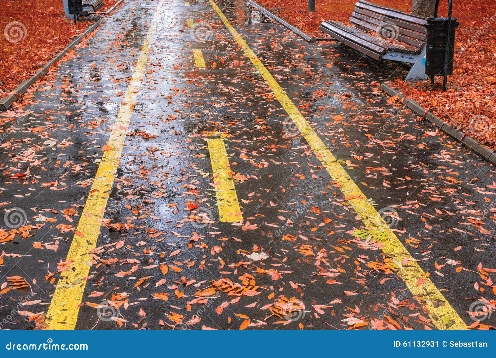 Park in Autumn Rain stock image. Image of landscapes - 61132931
