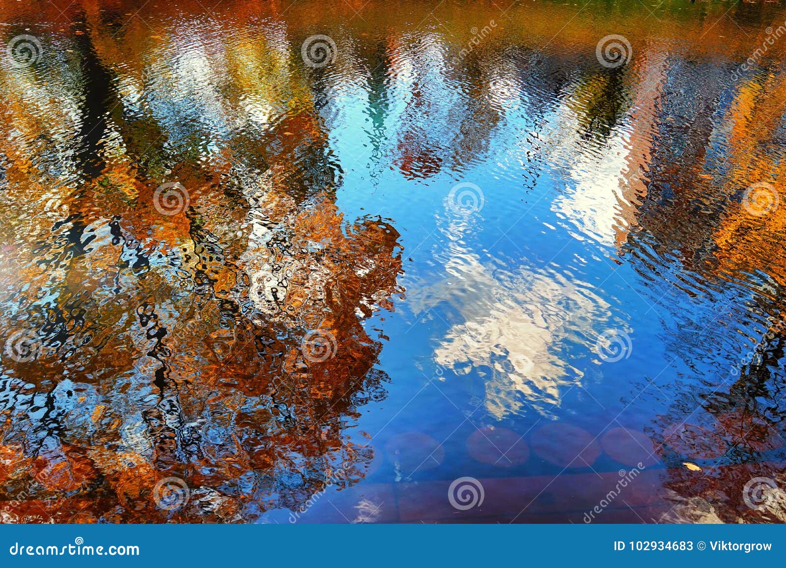 Park in Autumn with Reflection in Water Stock Image - Image of ...