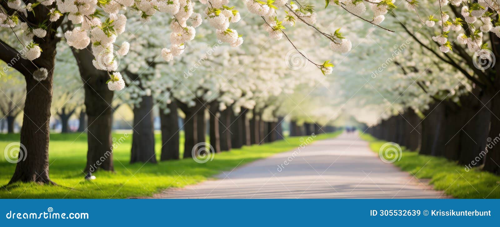 Park Avenue in Spring AI Generated Stock Image - Image of natural ...