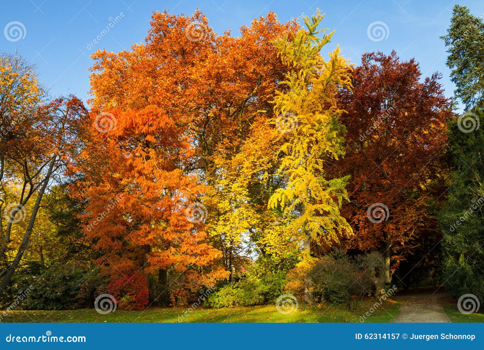 Park of Bad Homburg in Autumn Stock Image - Image of autumn, garden ...