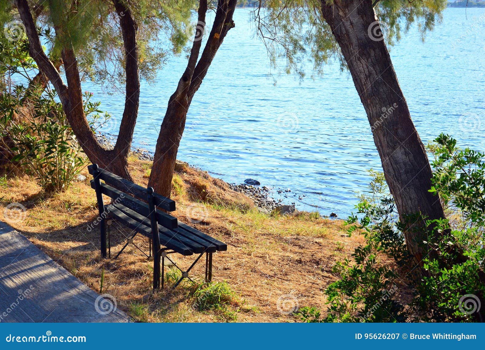 Park-Bank nahe Meer stockbild. Bild von baum, geplätschert - 95626207