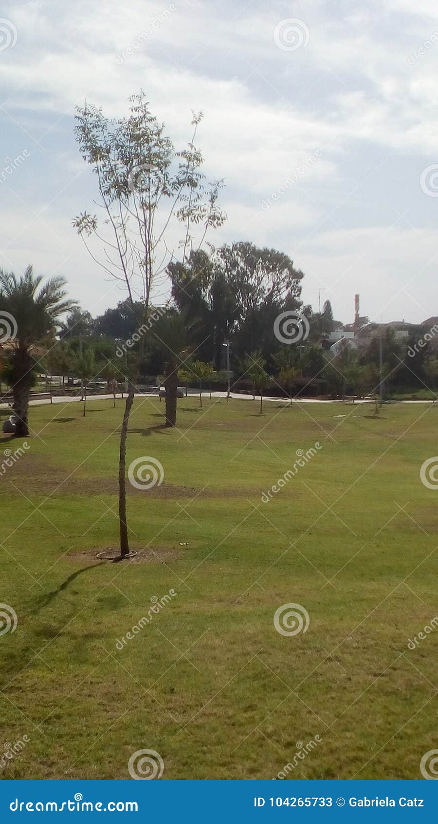 Park stock image. Image of beautiful, clean, arranged - 104265733