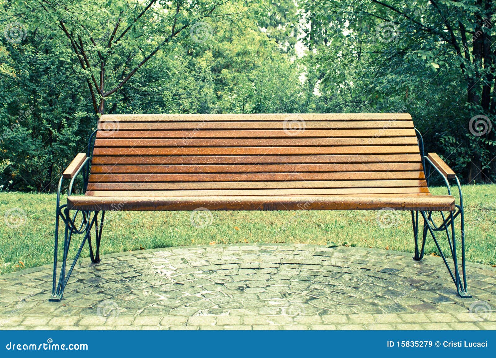 Park bench stock image. Image of autumn, bush, outdoor - 15835279