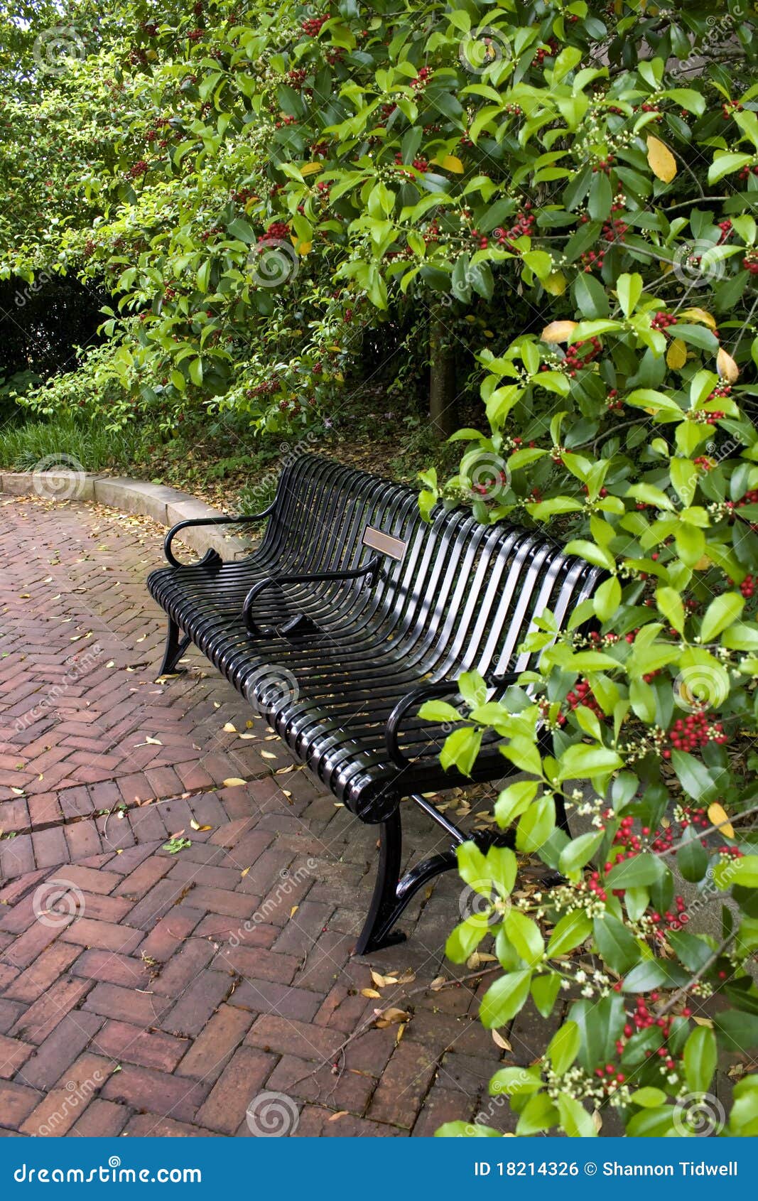 Park bench stock photo. Image of public, outdoor, green - 18214326