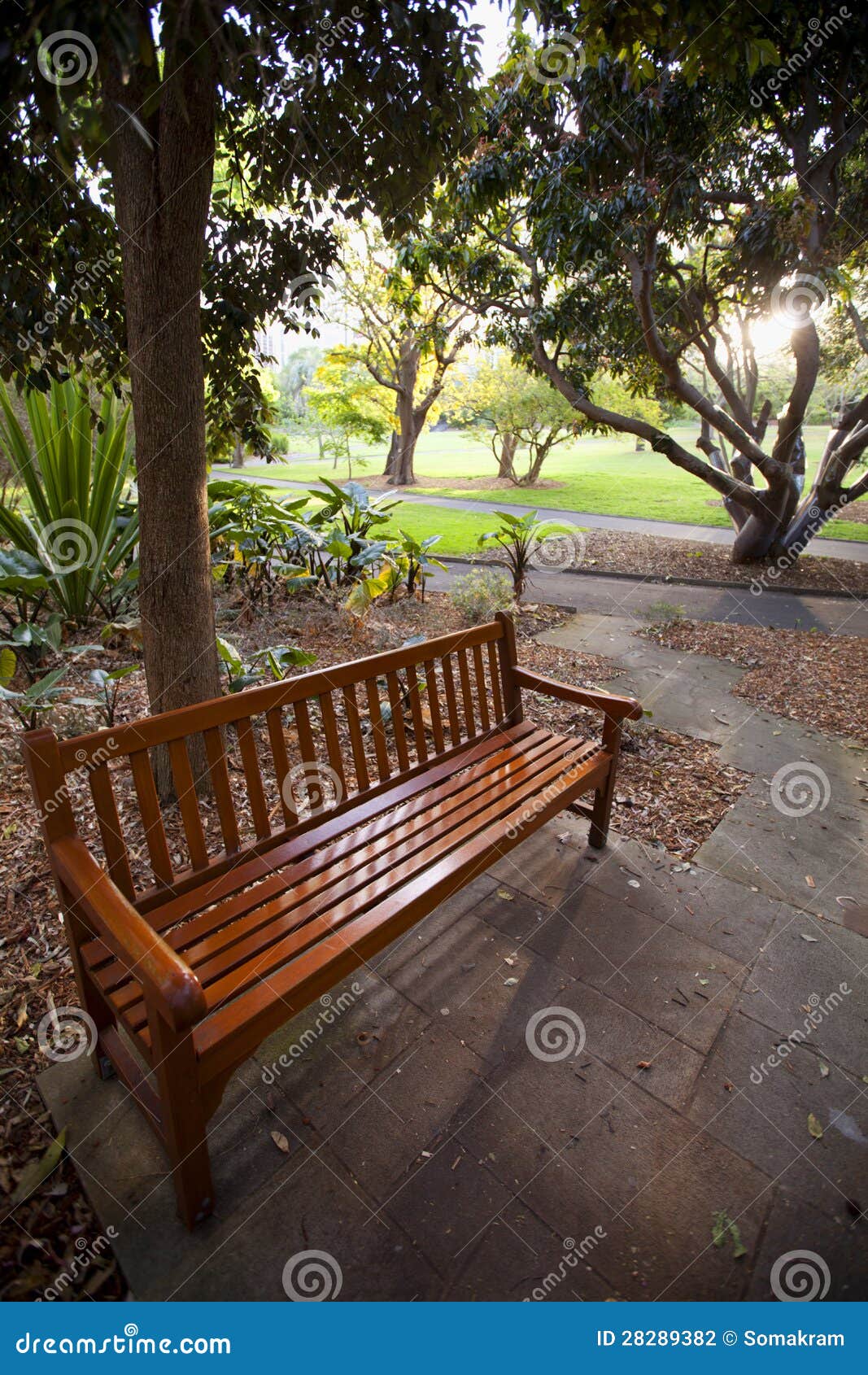 Park Bench stock photo. Image of chair, quiet, relaxing - 28289382