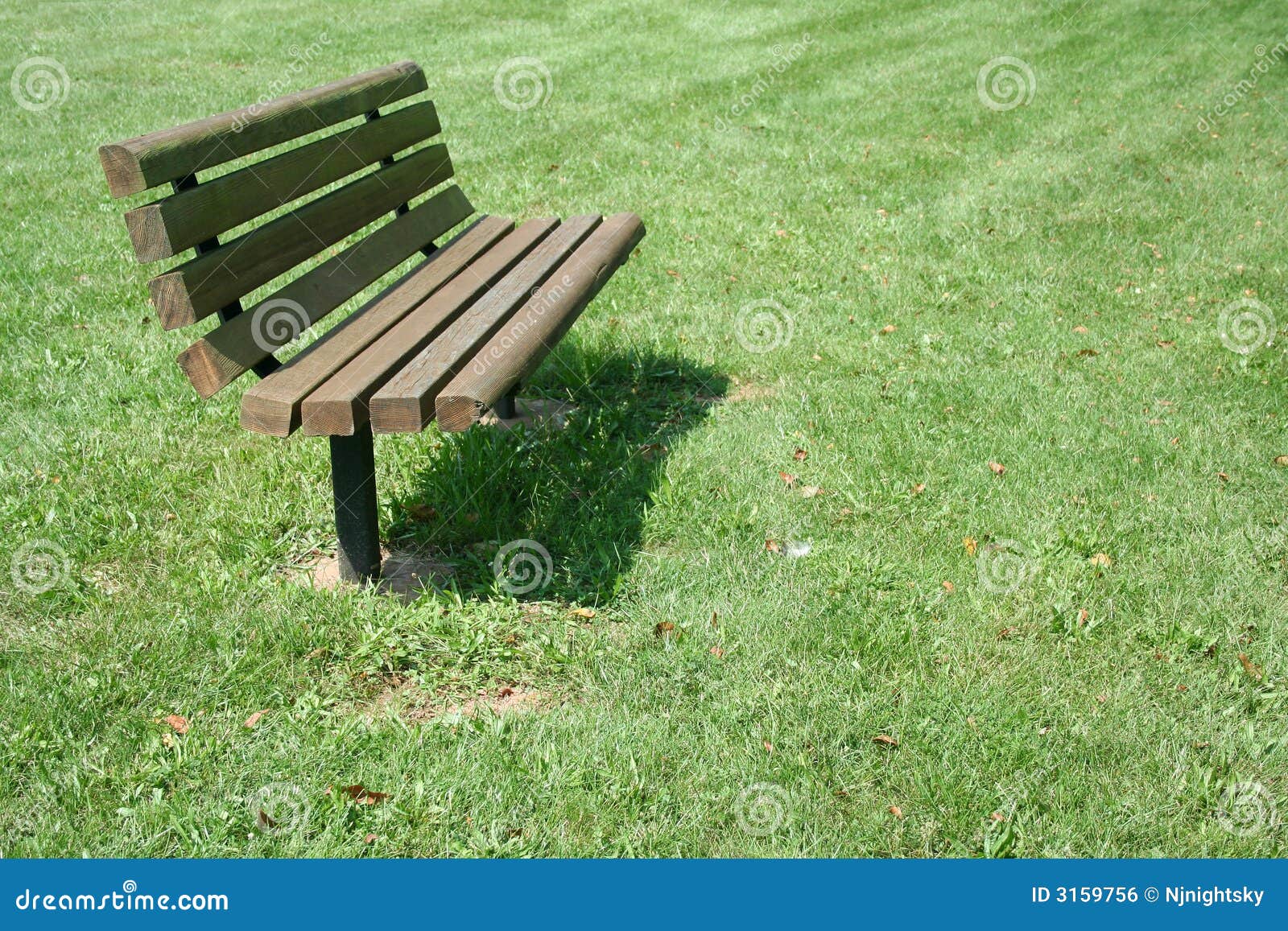 Park Bench stock photo. Image of trees, seat, relax, rest - 3159756