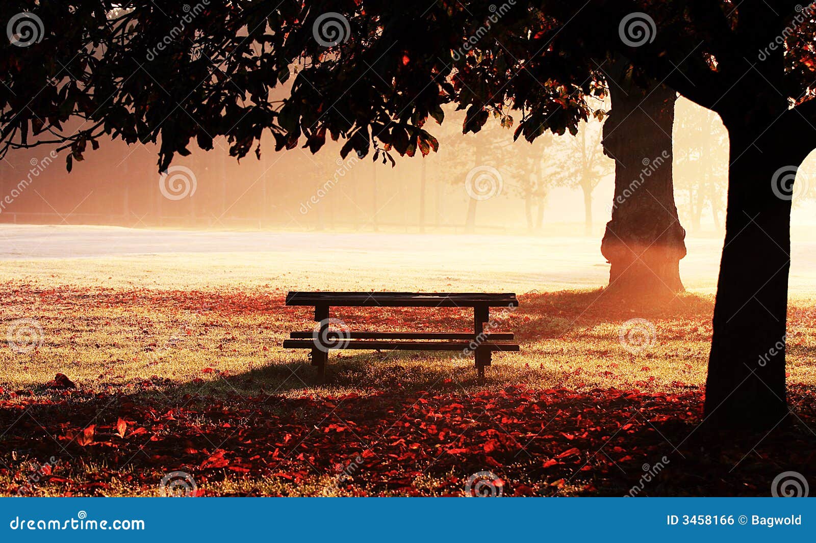 Park bench stock photo. Image of autumn, isolated, cool - 3458166
