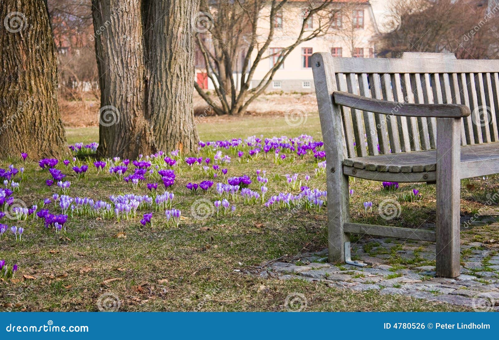 Park Bench stock photo. Image of relaxing, flowers, peaceful - 4780526