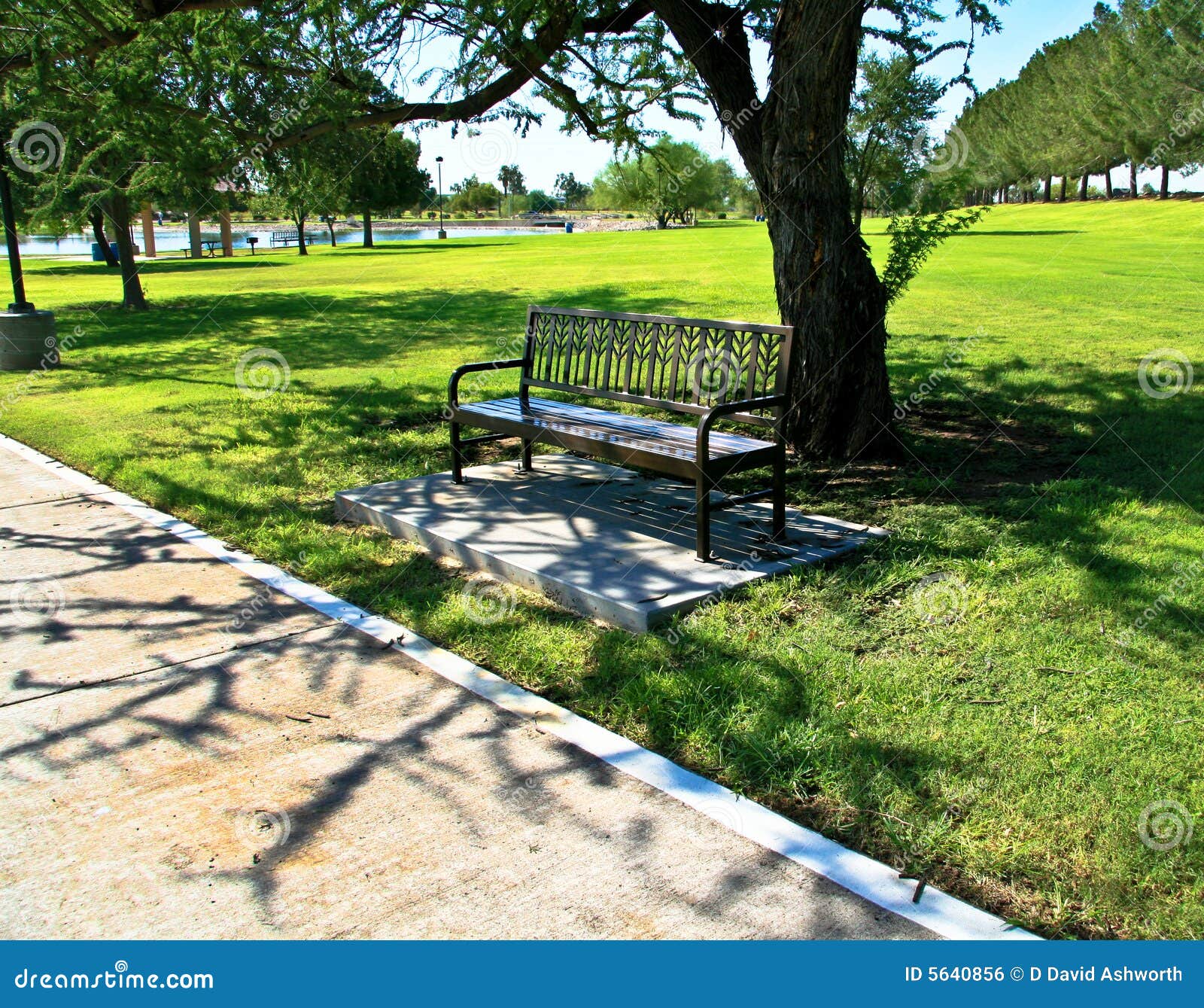 Park Bench stock photo. Image of lawn, sunlight, grass - 5640856