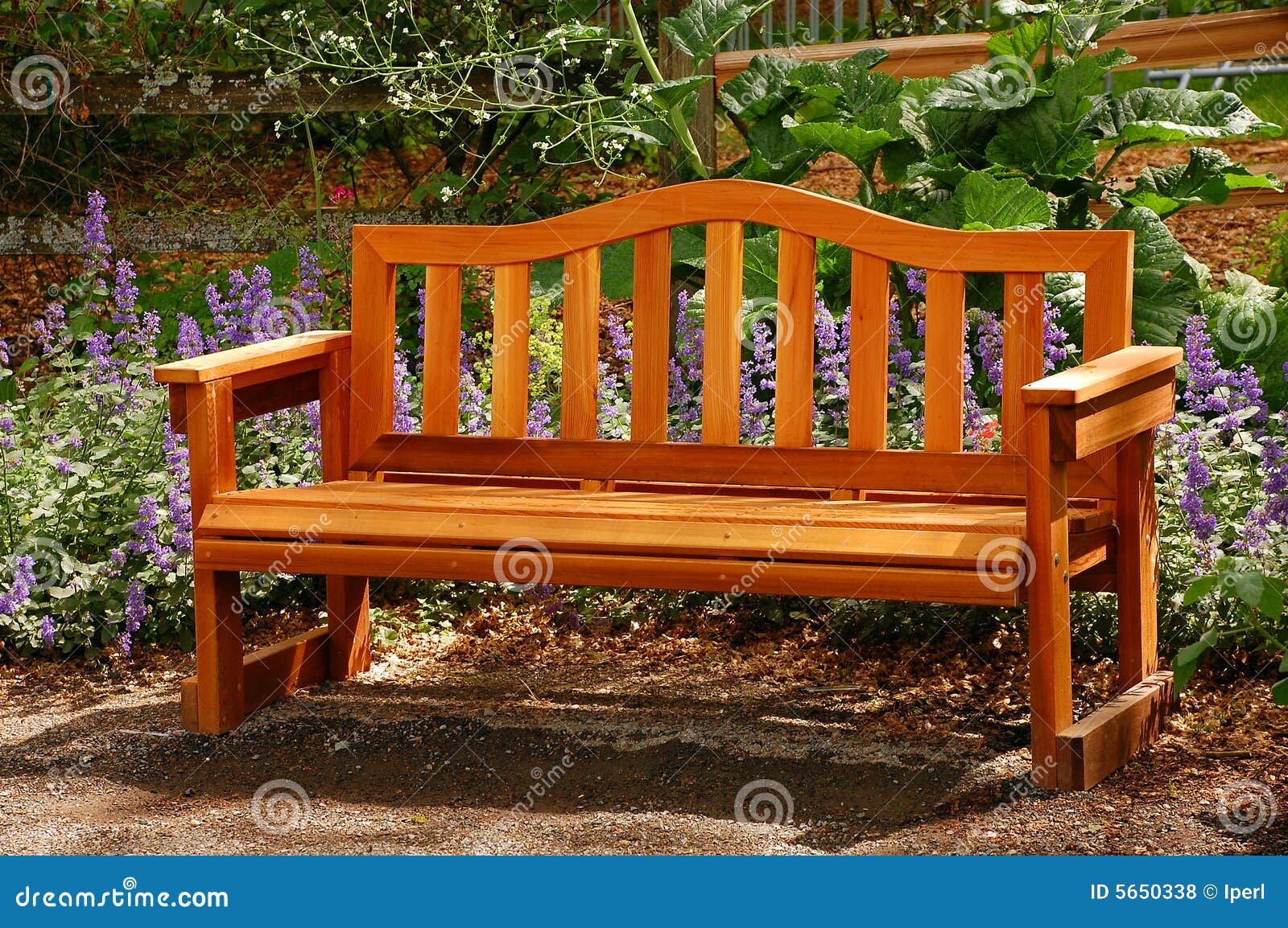 Park bench stock photo. Image of botanical, seat, park - 5650338
