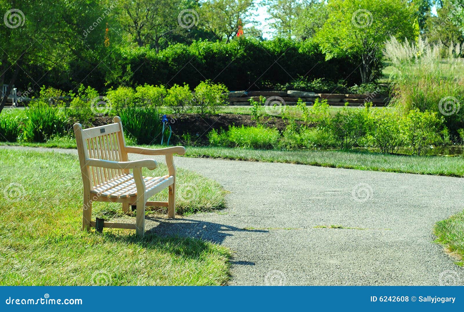 Park Bench stock photo. Image of commons, roost, court - 6242608