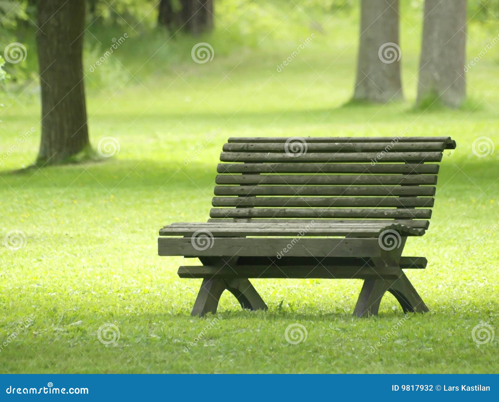 Park Bench stock photo. Image of scene, outside, trees - 9817932