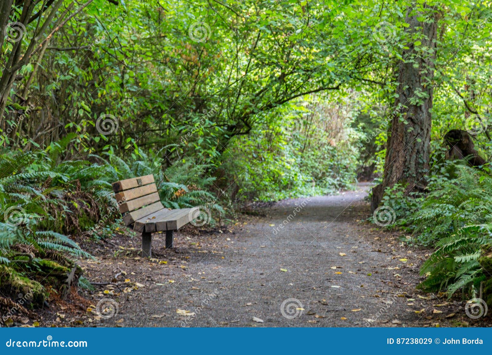 Park Bench Along a Foot Trail Stock Image - Image of scene, trees: 87238029