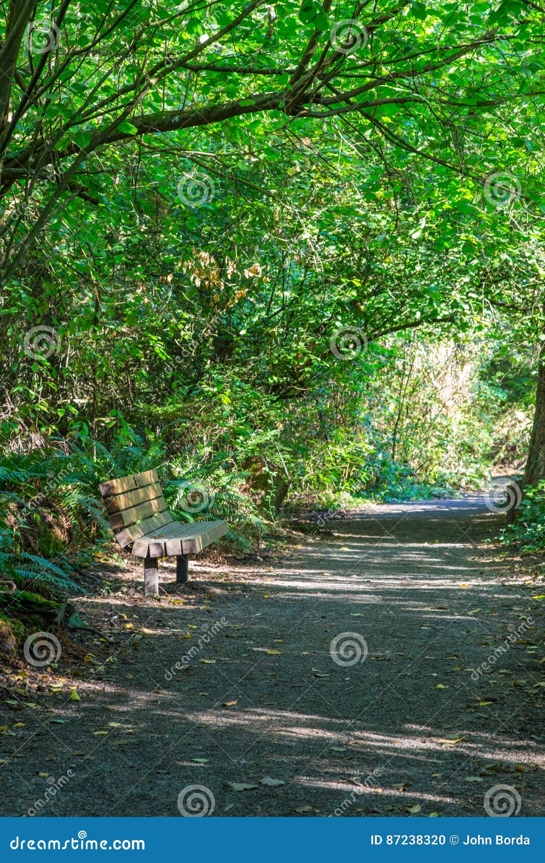Park Bench Along a Foot Trail Stock Photo - Image of rest, scenic: 87238320