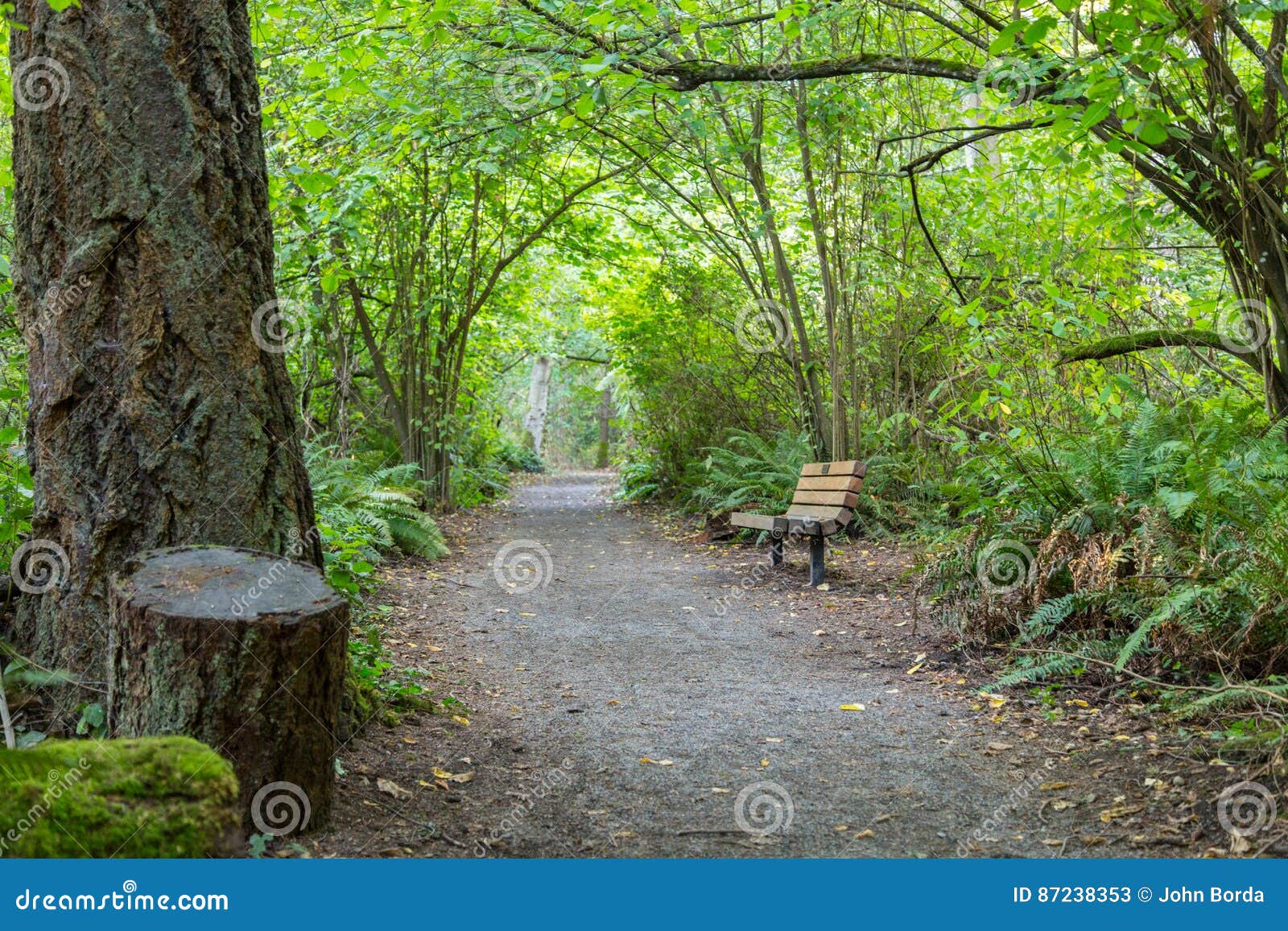 Park Bench Along a Foot Trail Stock Image - Image of season, path: 87238353