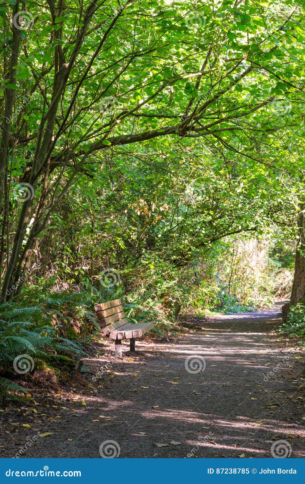 Park Bench Along a Foot Trail Stock Image - Image of nature, tree: 87238785