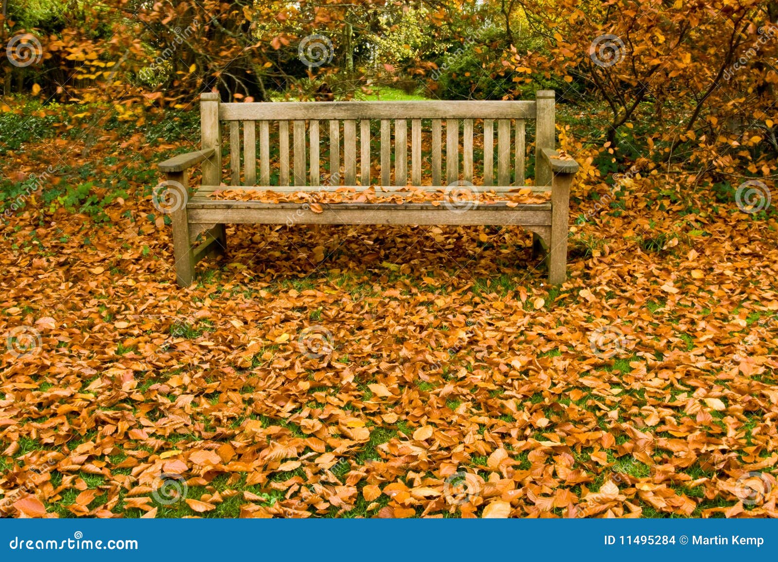 Park Bench in Autumn stock photo. Image of lawn, fall - 11495284