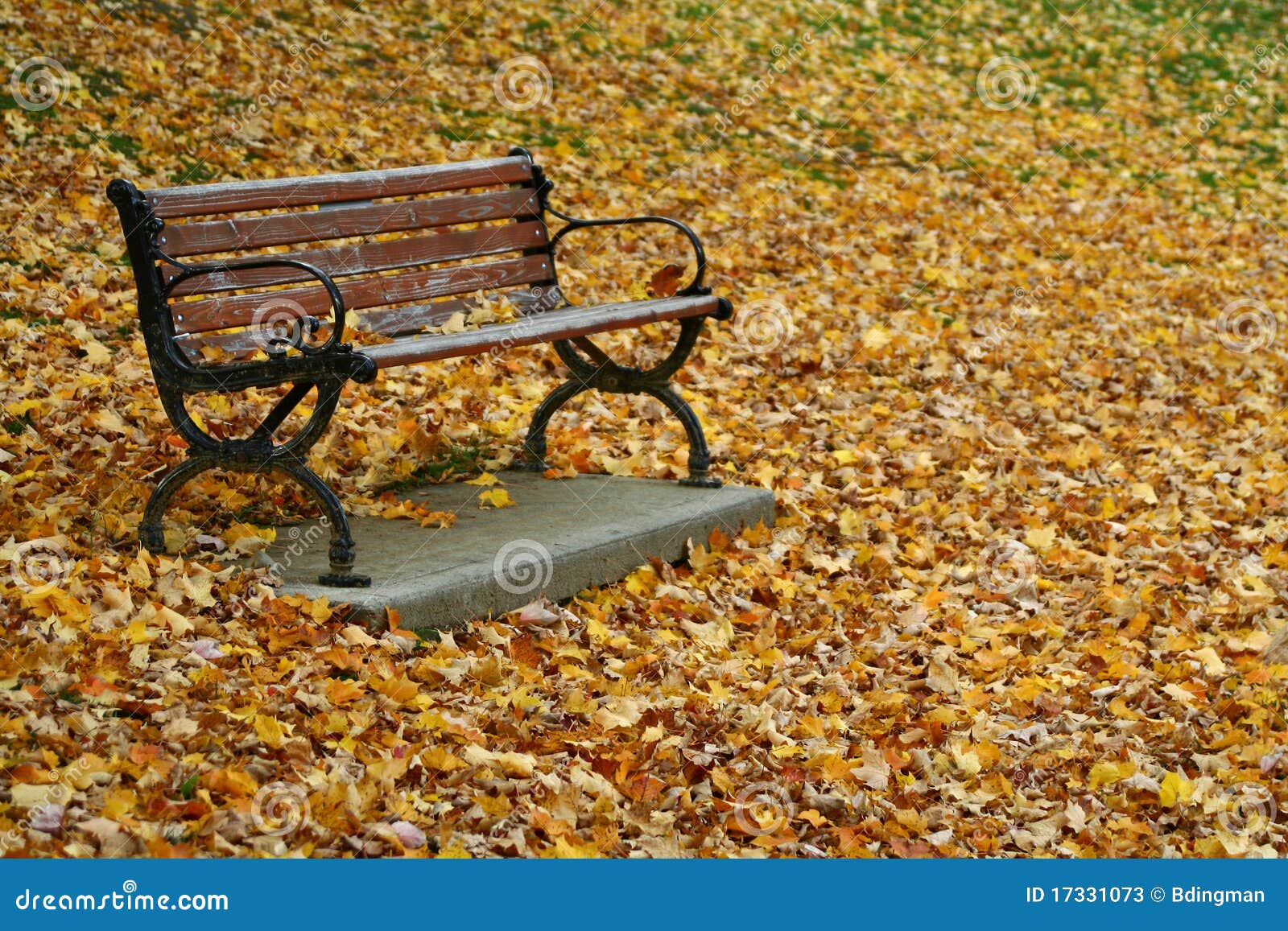 Park Bench in Autumn stock image. Image of relaxing, iron - 17331073