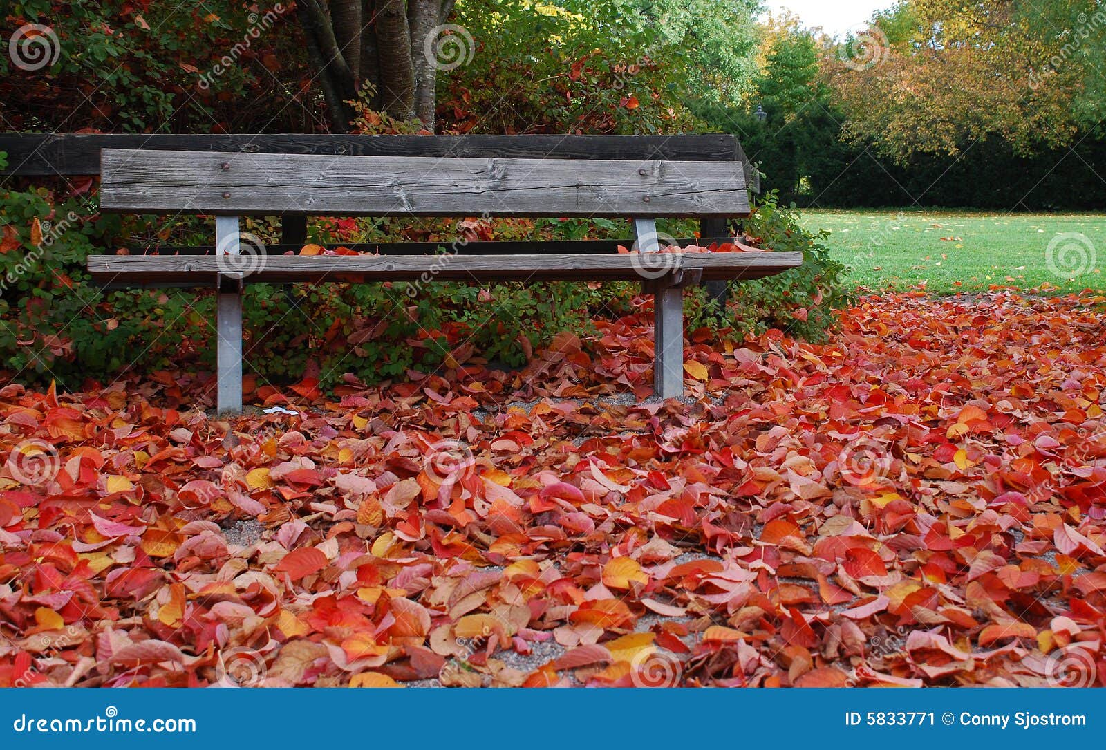Park bench in autumn stock image. Image of outside, numerous - 5833771