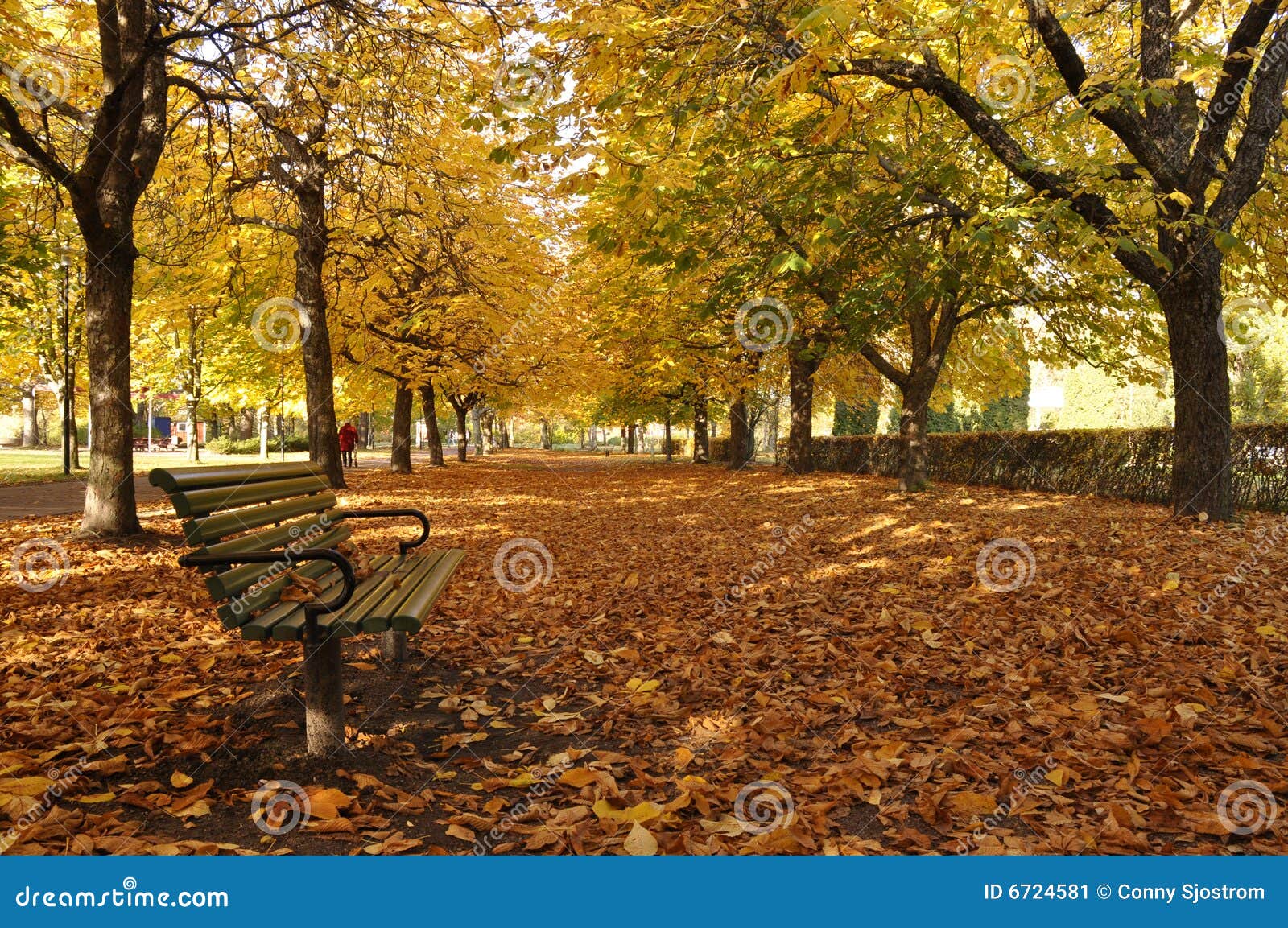 Park Bench in Autumn stock image. Image of colorful, beautiful - 6724581