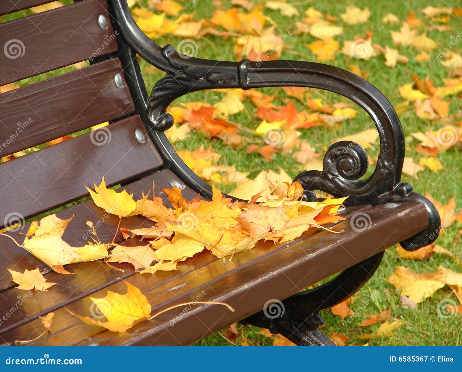 Park Bench in Autumn Close Up Stock Image - Image of leisure ...