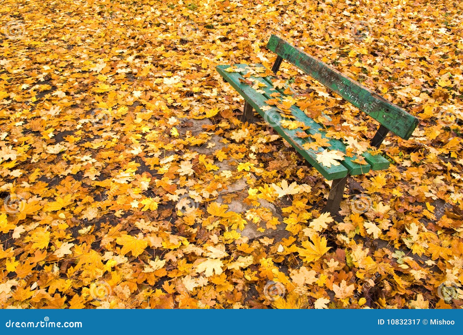 Park Bench And Autumn Leaves Stock Image - Image of nobody, leaves ...