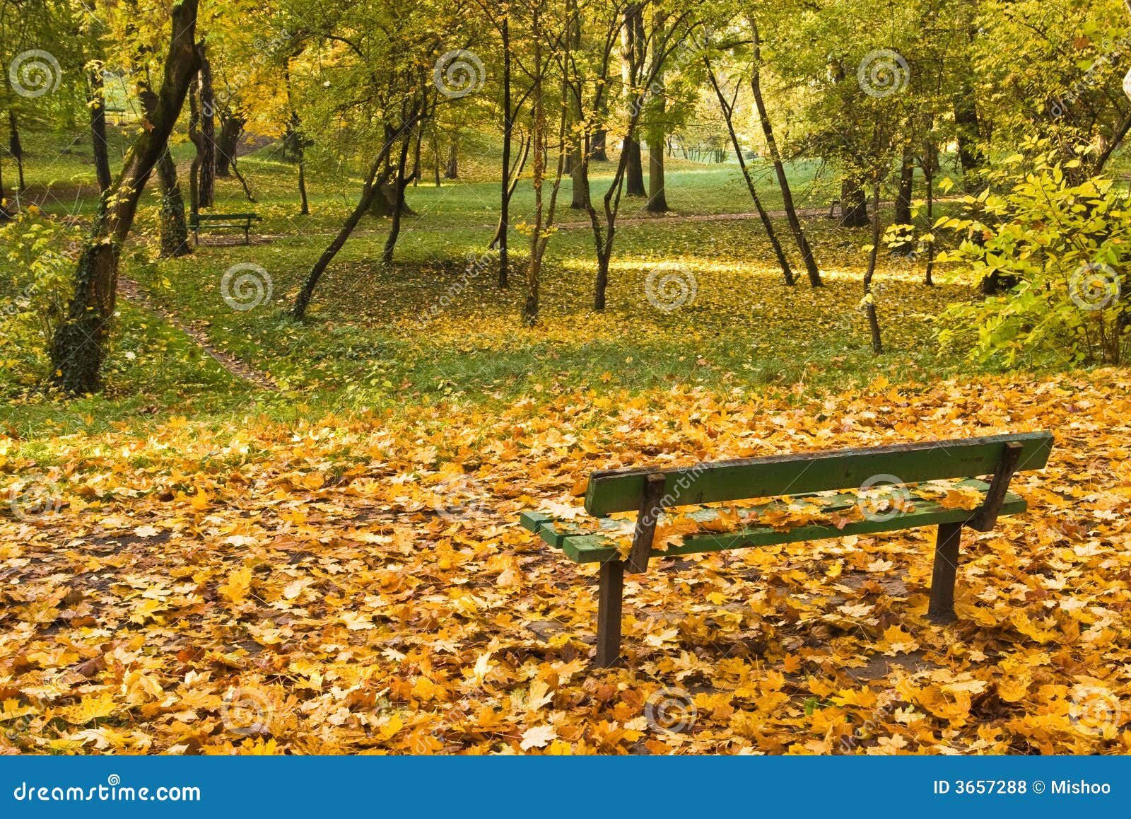Park Bench with Autumn Leaves Stock Photo - Image of background ...