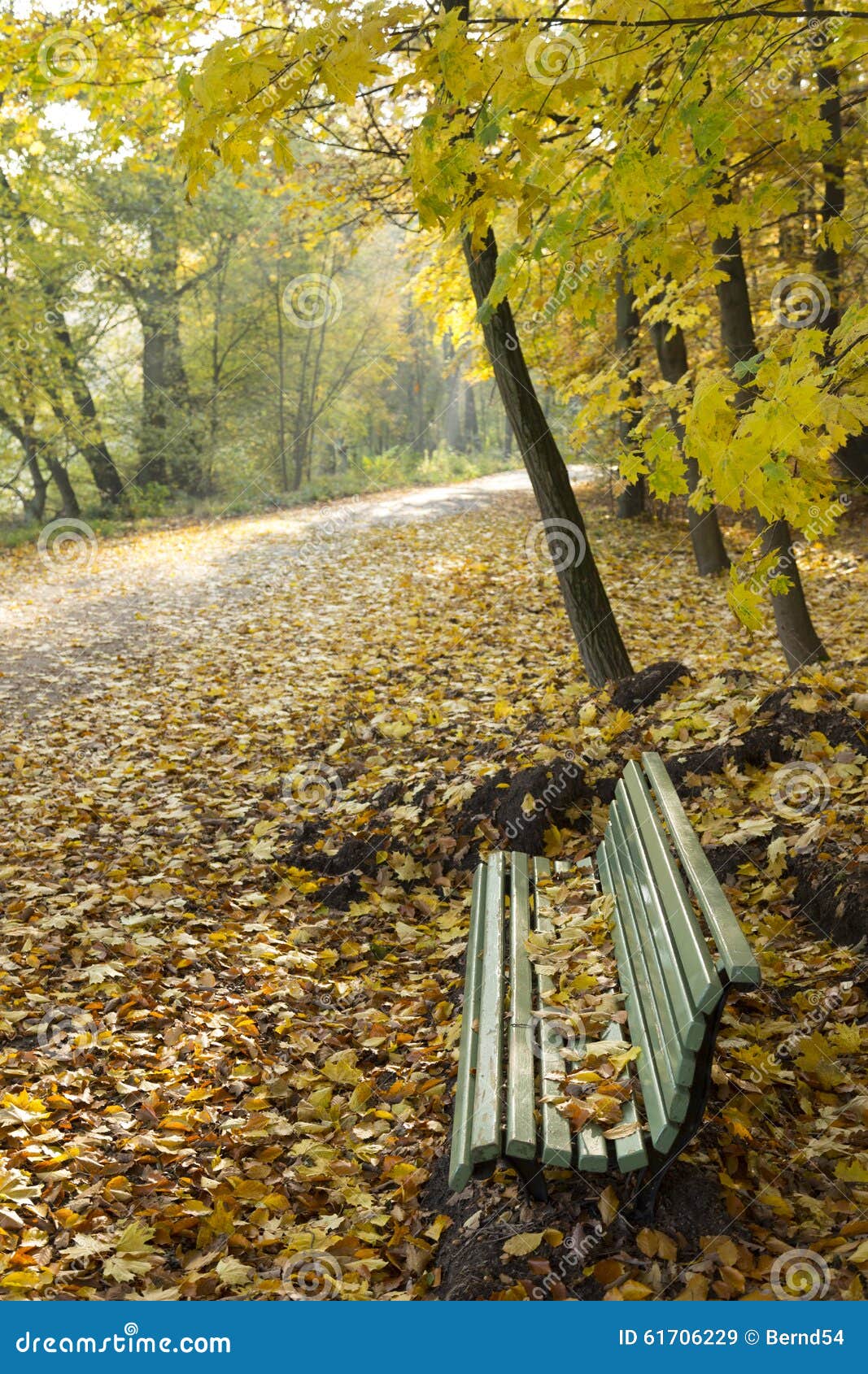 Park Bench with Autumn Leaves Stock Image - Image of forest, trees ...