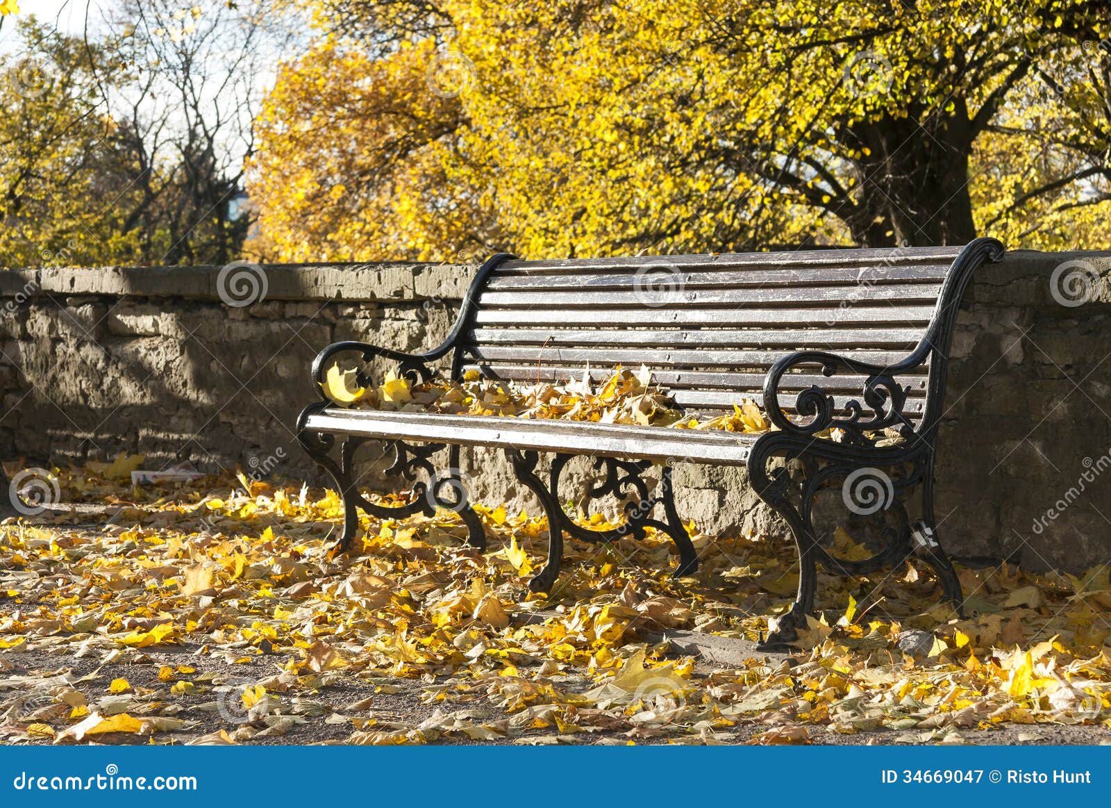 Park bench in autumn stock image. Image of park, bench - 34669047
