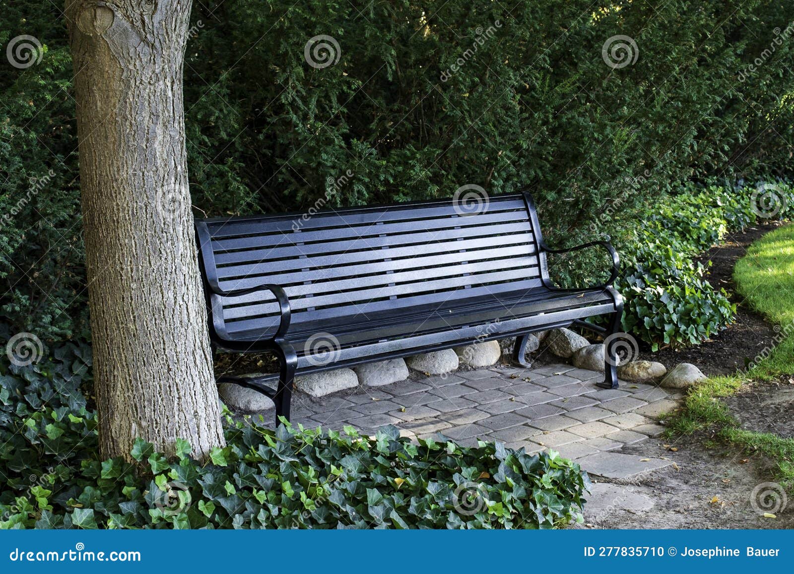 Park Bench Black Bench in Shade Bench by Tree Stock Photo - Image of ...