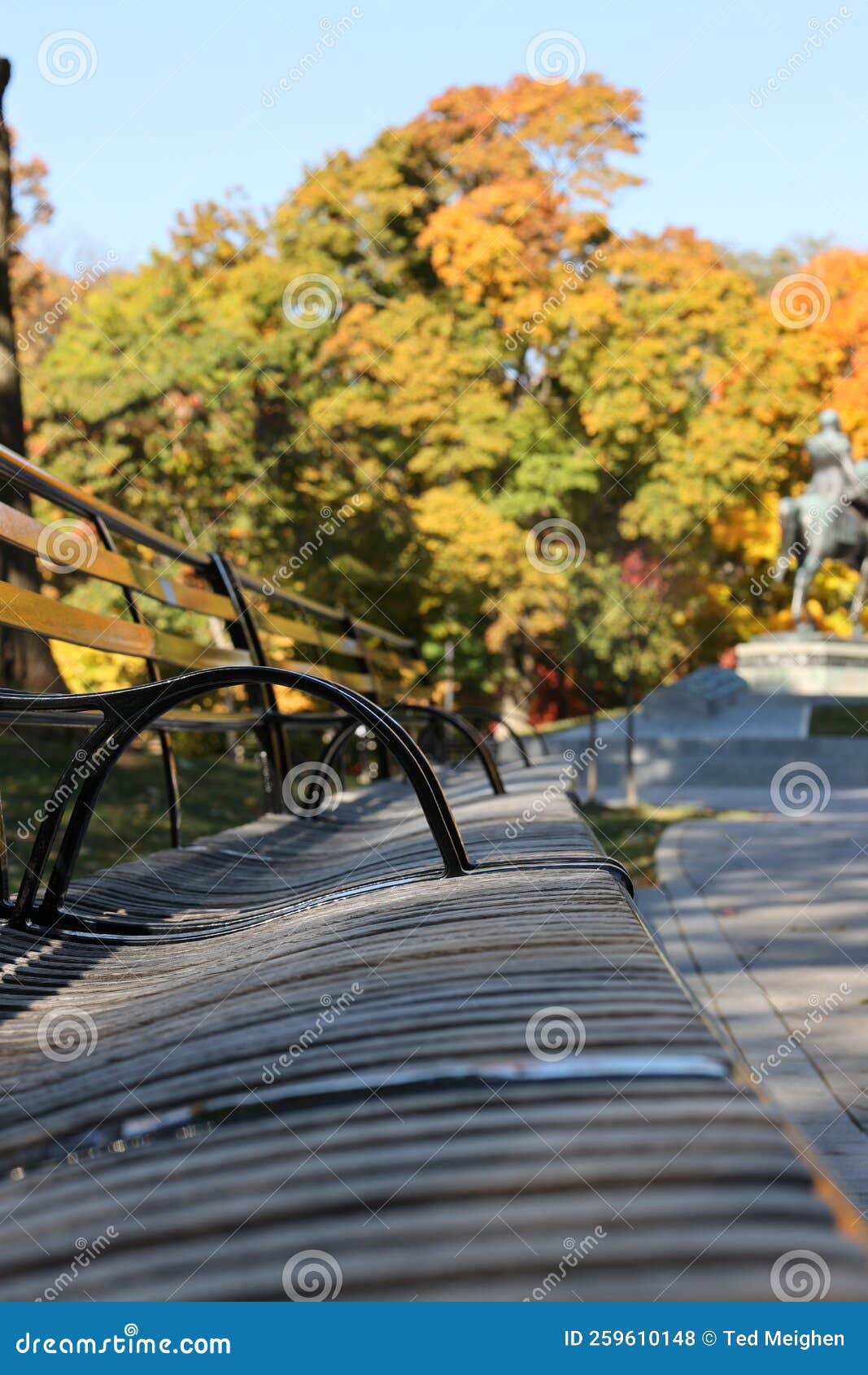Park Bench for Brilliant Fall Trees in Background Stock Photo - Image ...
