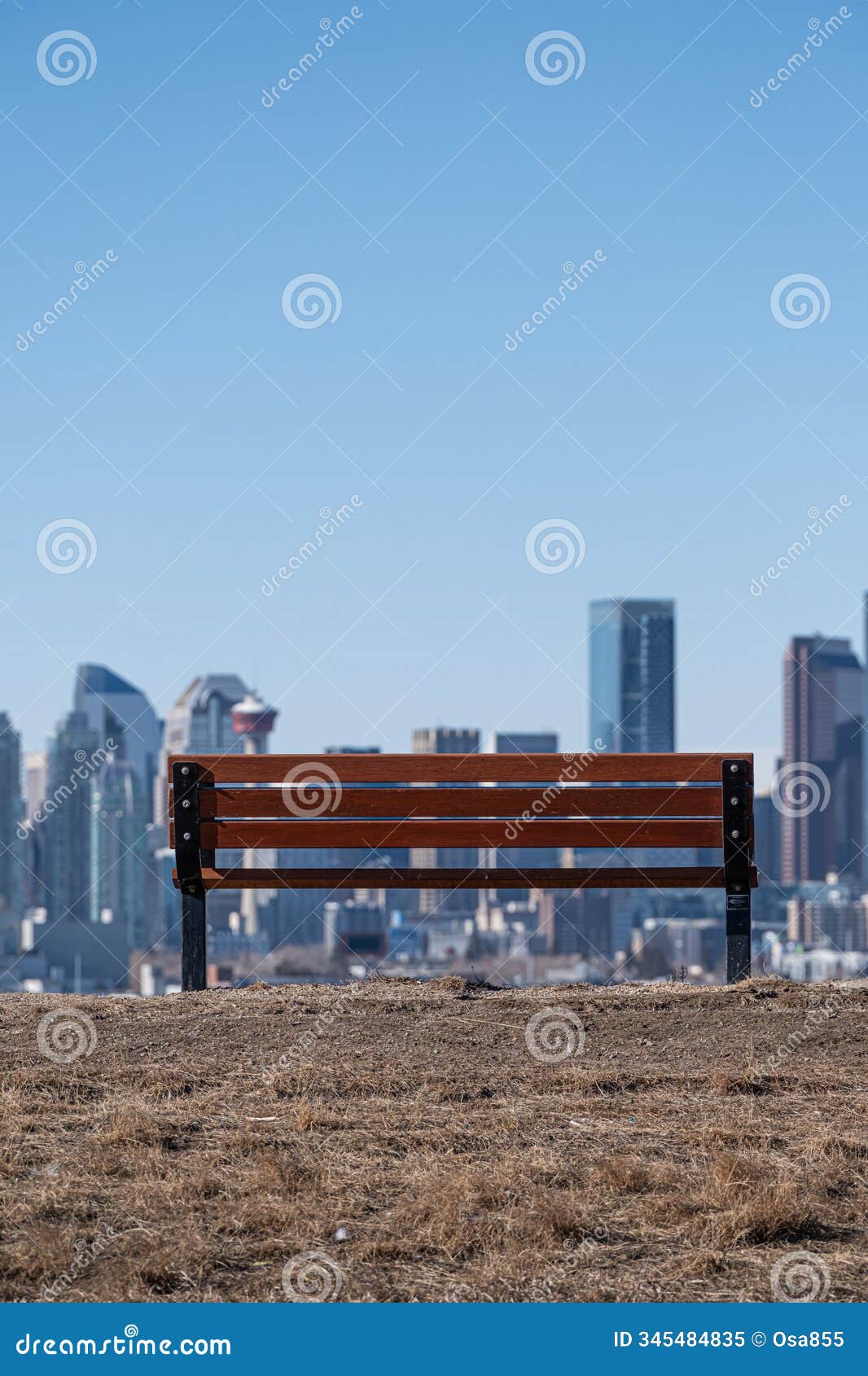 Park Bench with Calgary City Skyline View Stock Image - Image of ...