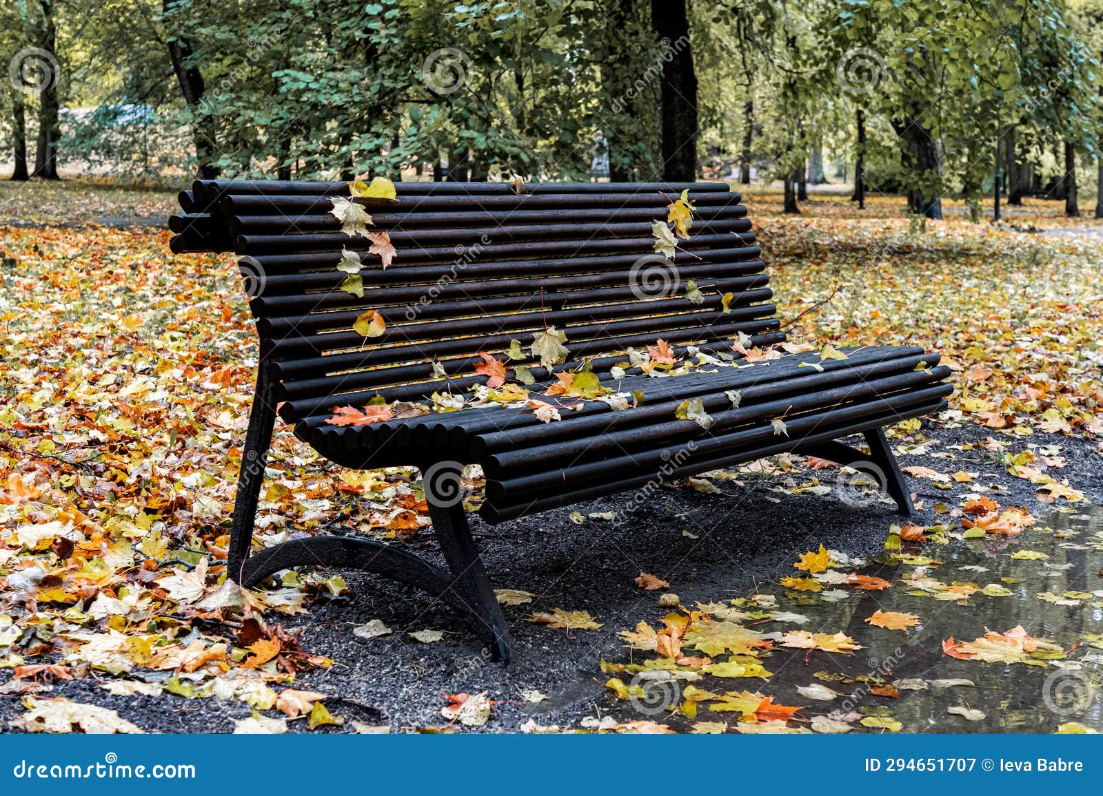 Park Bench Covered with Autumn Leaves, Water Puddle by the Bench Stock ...