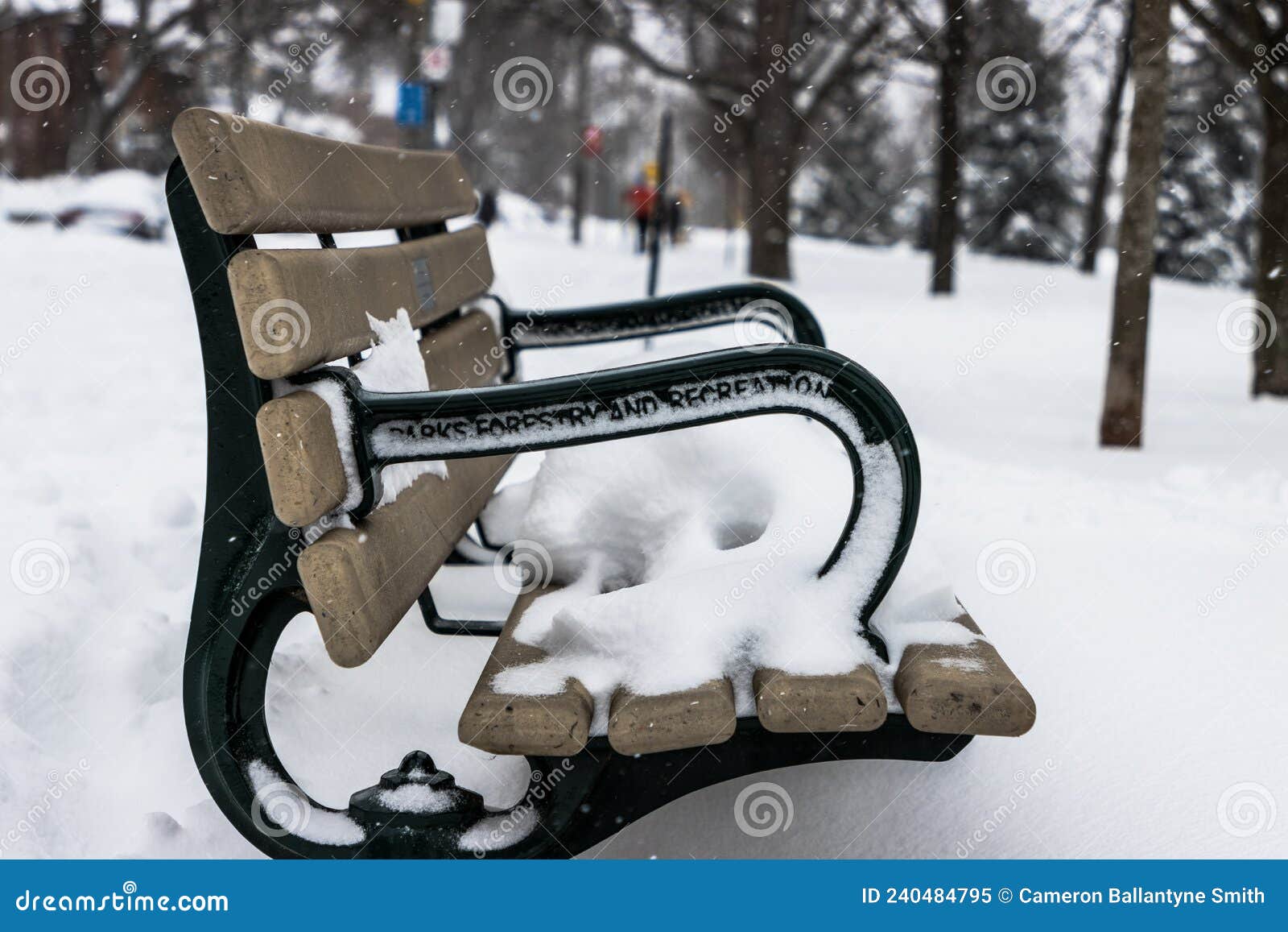 Park Bench covered in snow stock image. Image of trees - 240484795