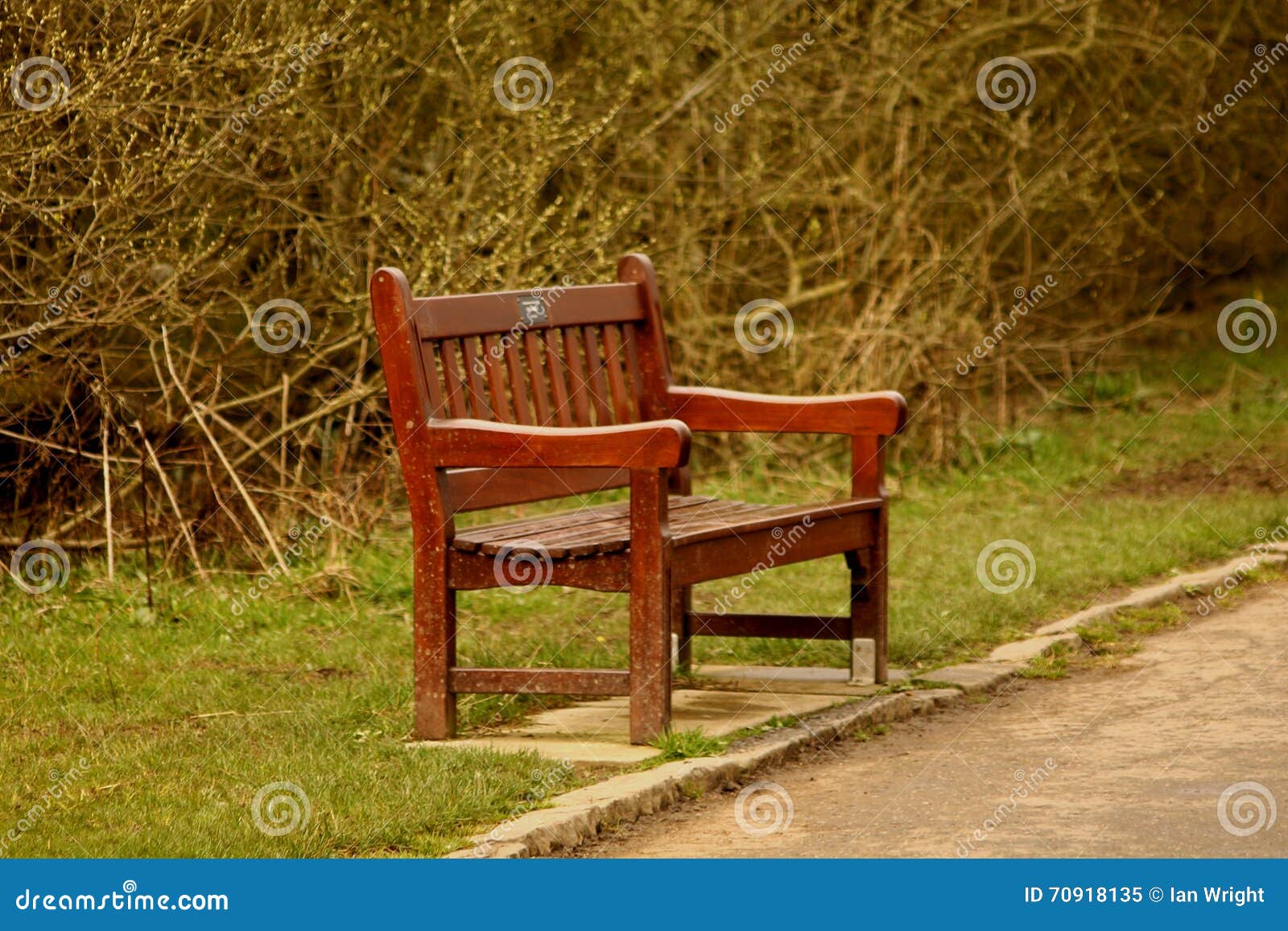 Park Bench stock image. Image of hedge, path, park, bench - 70918135