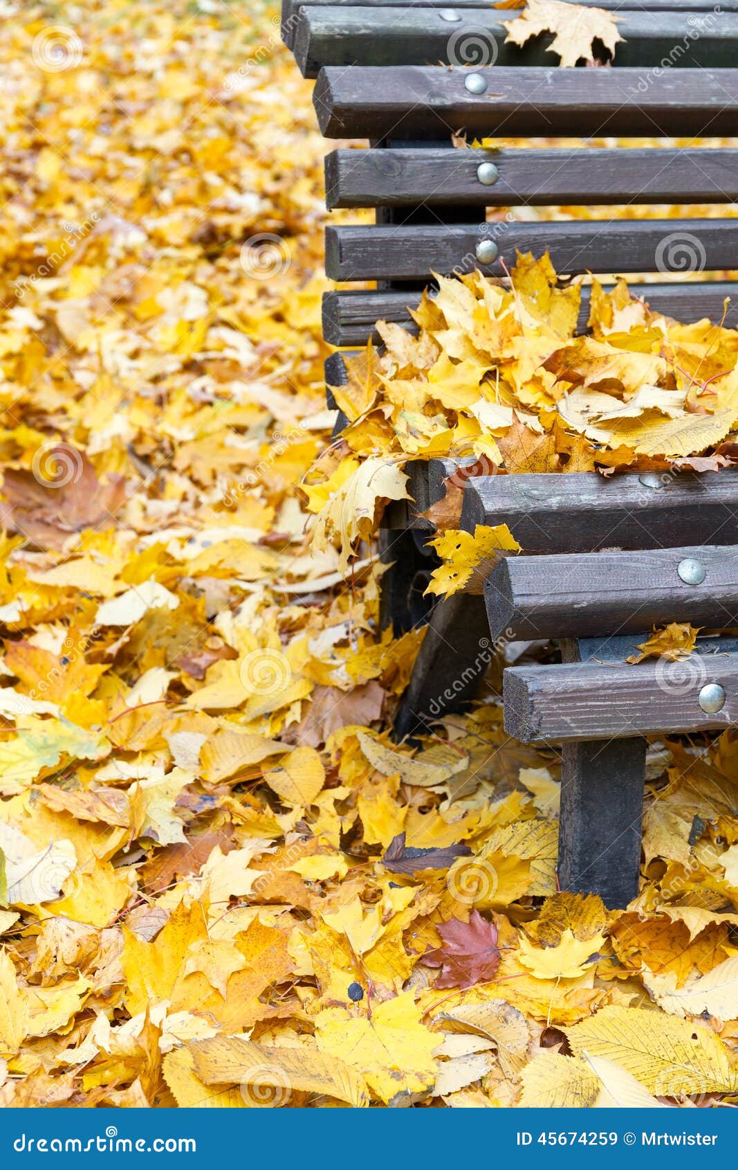 Park bench in fall closeup stock image. Image of color - 45674259
