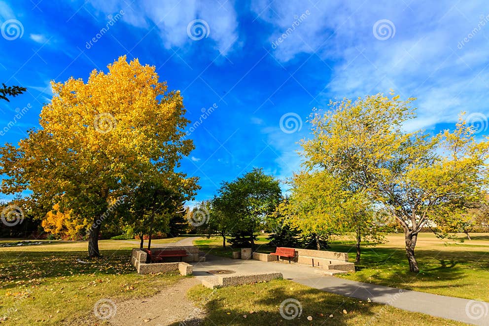 A Park with a Bench and a Fire Pit Stock Photo - Image of nature ...