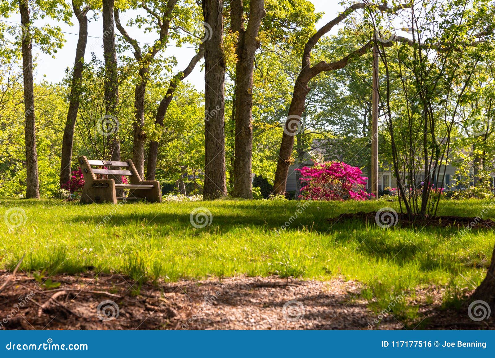 A Park Bench in Spring Lake Stock Photo - Image of trees, tranquil ...