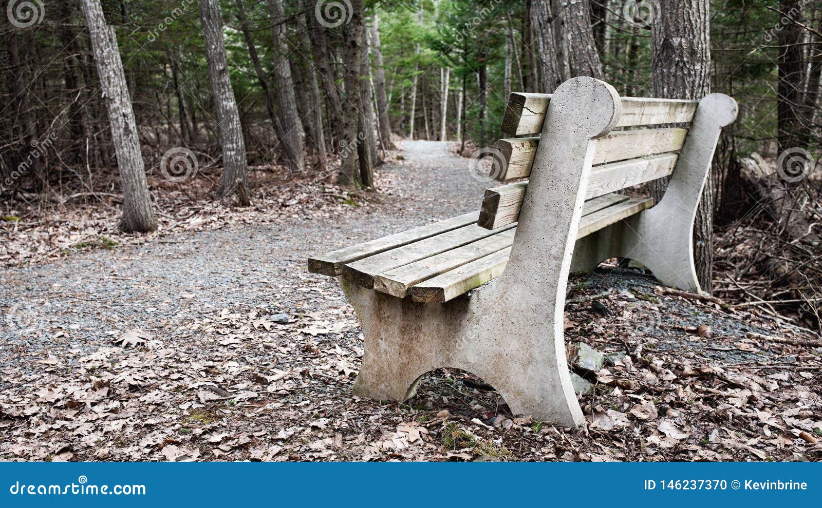 Park Bench stock photo. Image of wooden, tranquil, season - 146237370