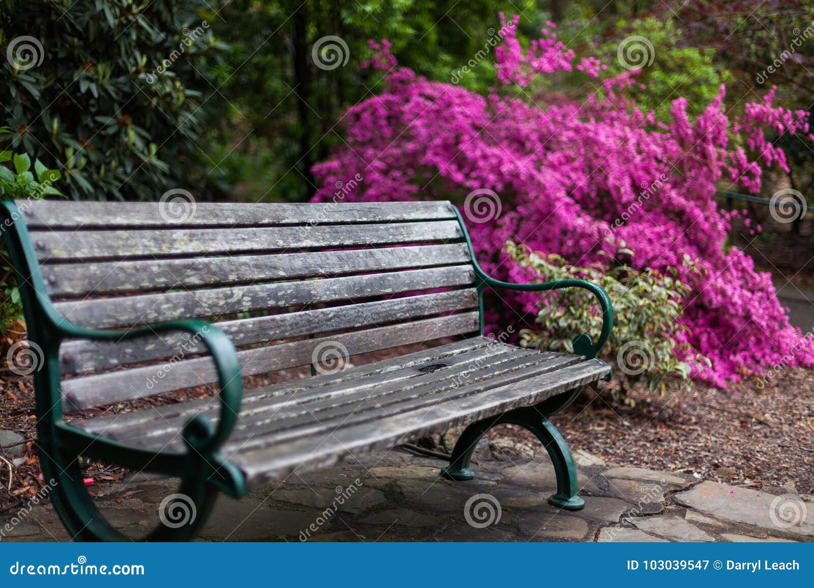 Park bench in a garden stock image. Image of forest - 103039547