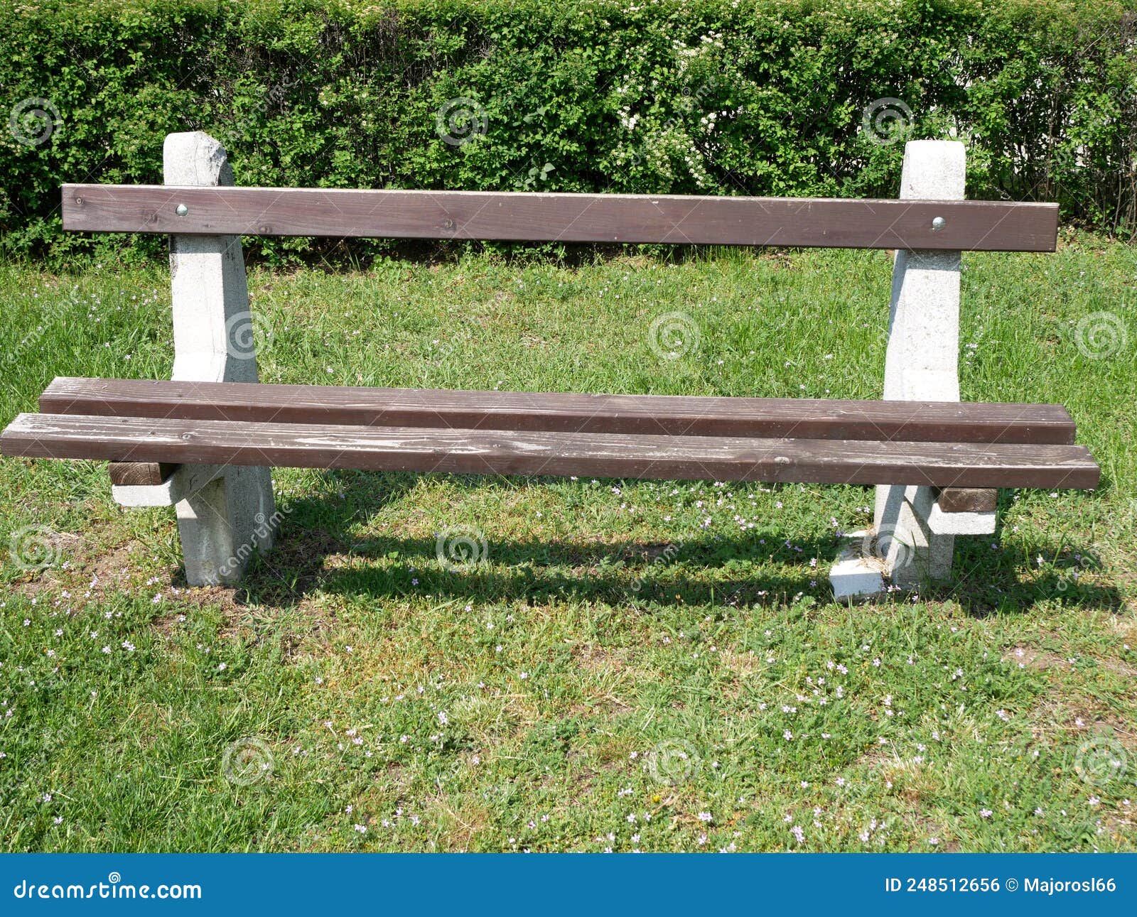 Park Bench at the Grass Area Stock Photo - Image of green, furniture ...