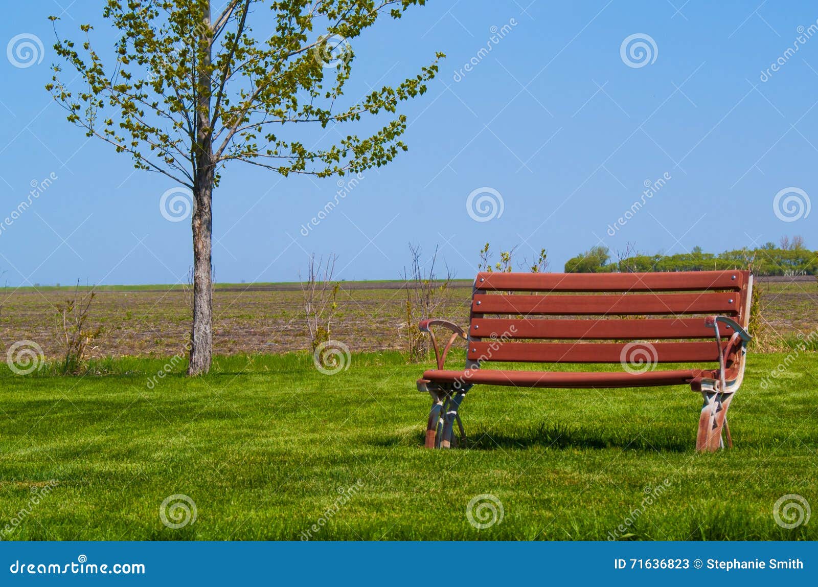 Park Bench on Grass with Field Behind it Scenic Stock Image - Image of ...