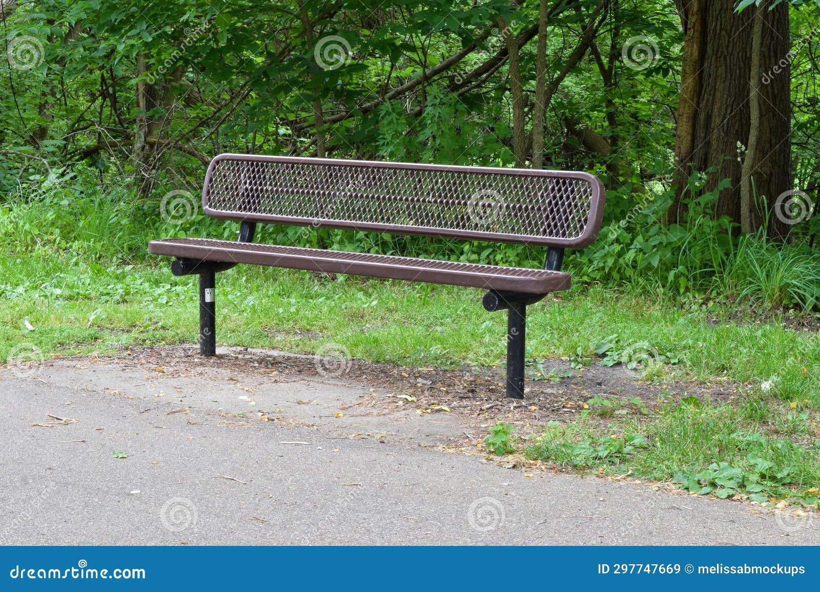 Park Bench and Greenery on a Sunny Spring Day Stock Image - Image of ...