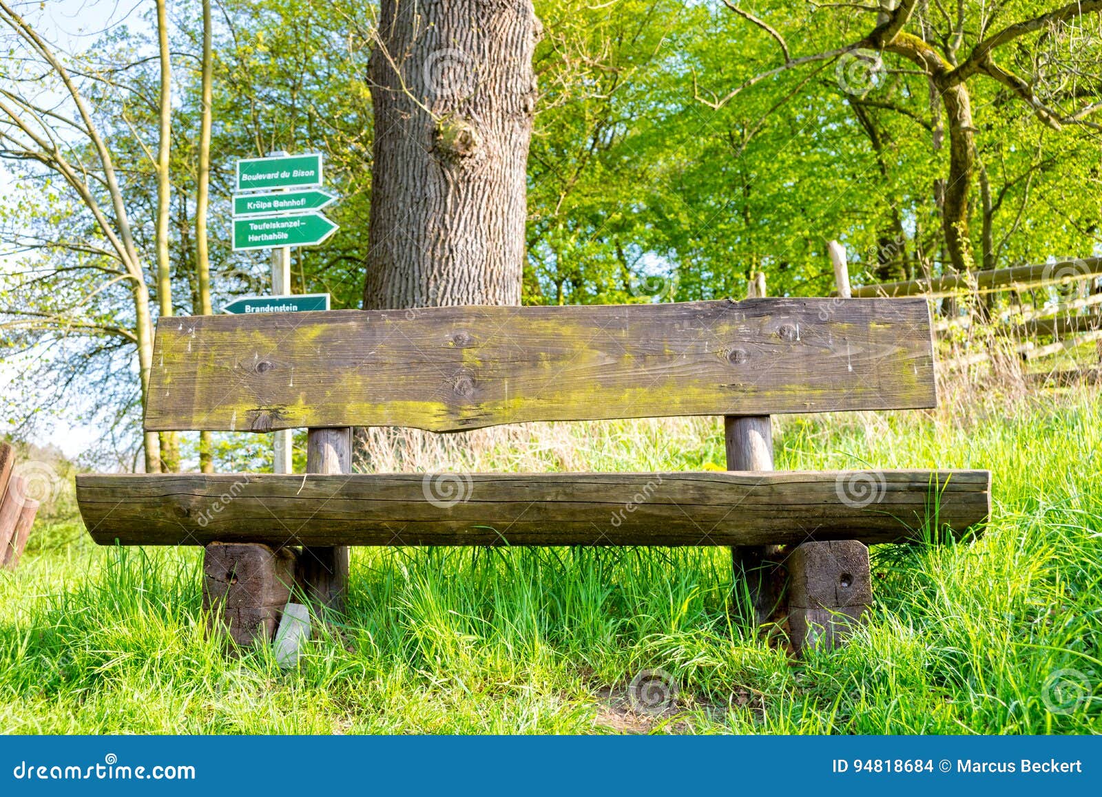 Park Bench on the Hiking Trail Stock Photo - Image of calm, fresh: 94818684