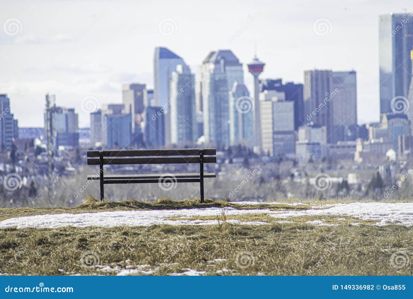 Park Bench on Hill with City Skyline Behind it Stock Photo - Image of ...