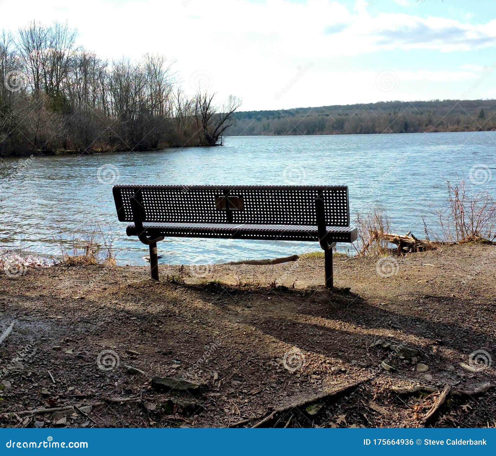 Park Bench at the Lake stock photo. Image of bucks, park - 175664936