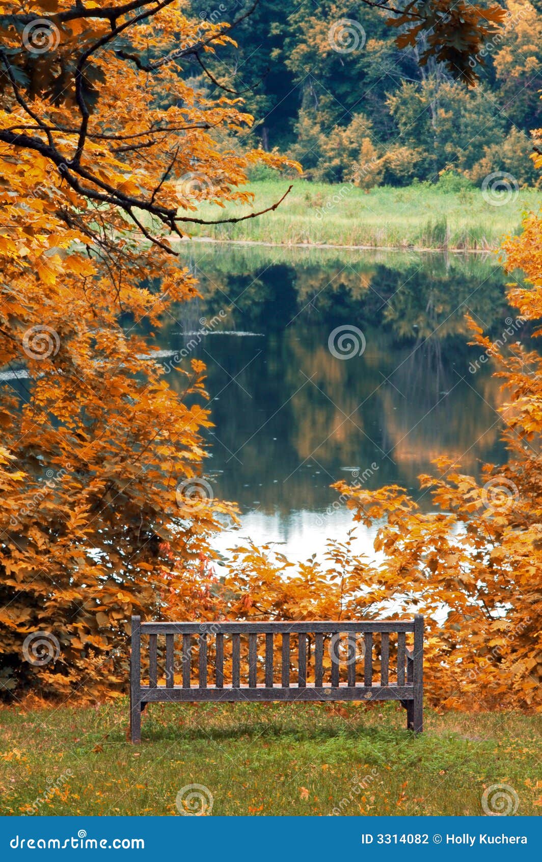 Park Bench By Lake In Autumn Stock Photography - Image: 3314082