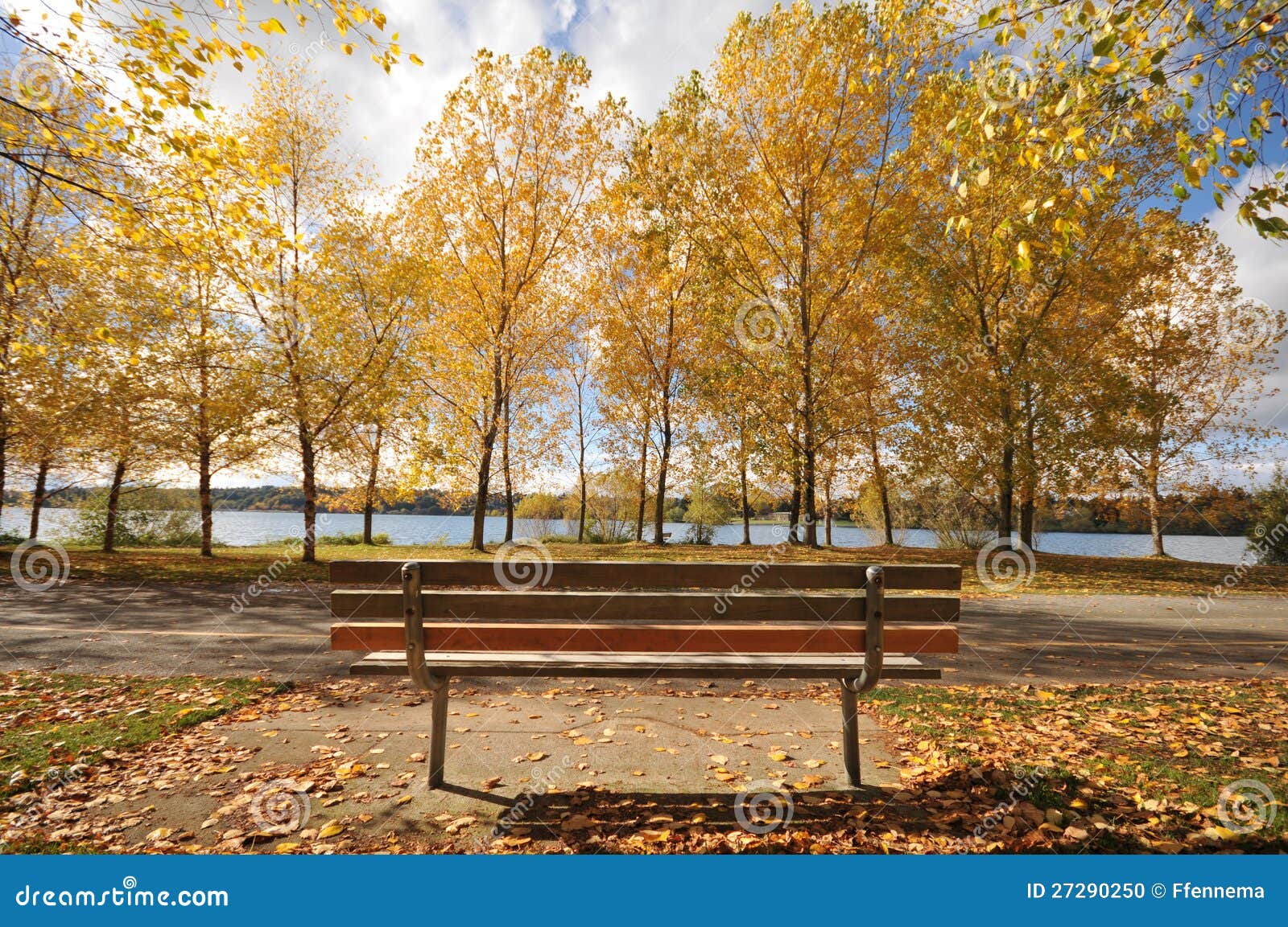 Park Bench by a Lake with Fall Colors Stock Photo - Image of grass ...