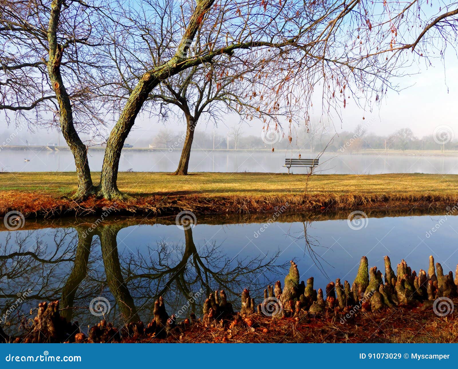 Park Bench at the Lake stock image. Image of peaceful - 91073029